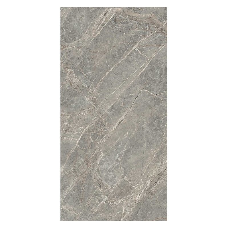 Rex Etoile De Rex Gris 60x120 Glossy Rett. Gat.1